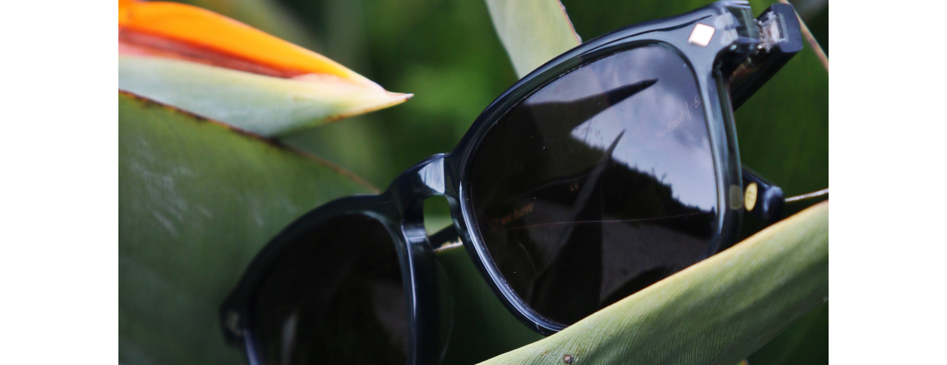 Opolis Optics | Landing Page